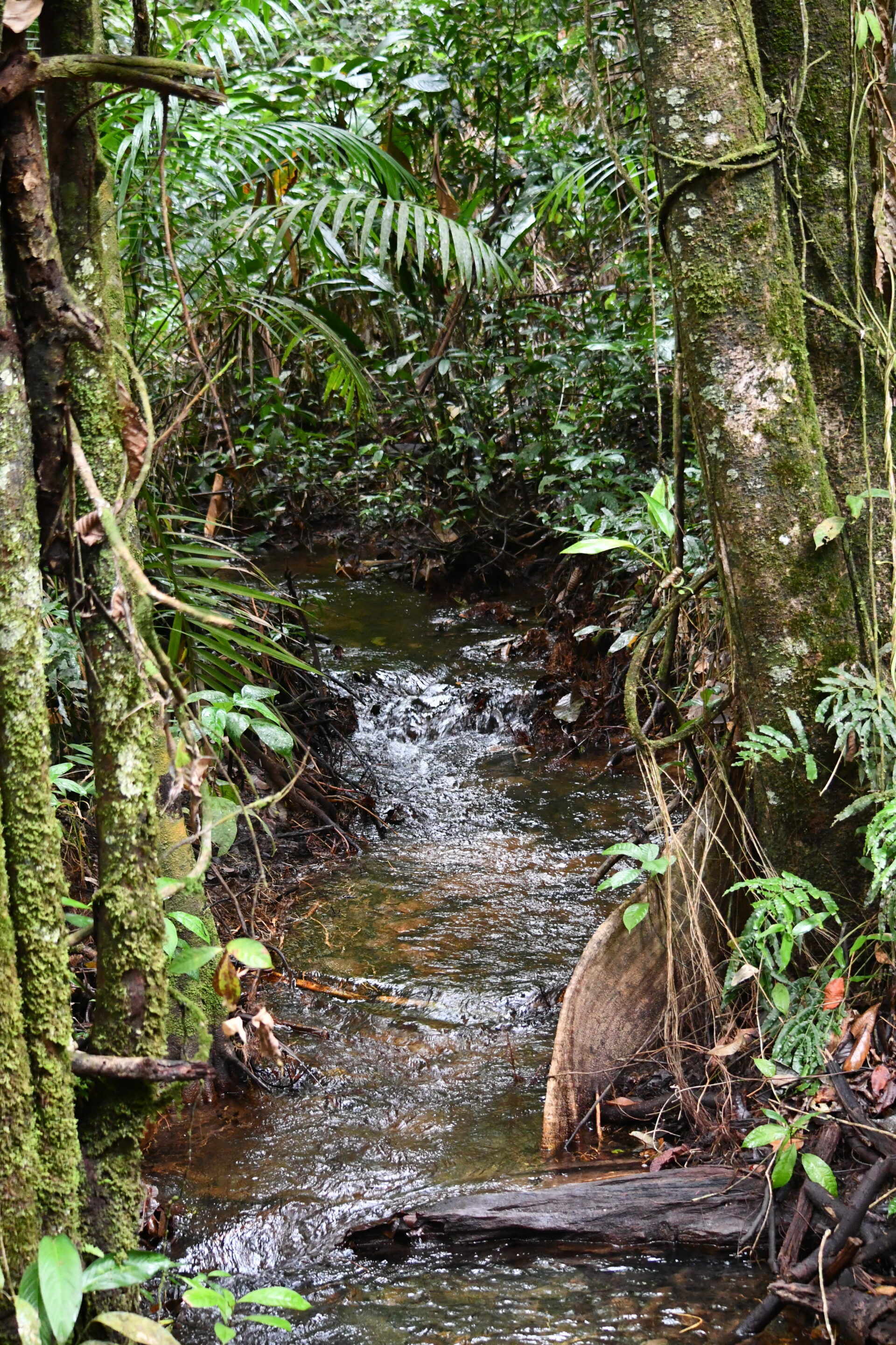 Eau, Biodiversité et climat - Guyane Nature Environnement